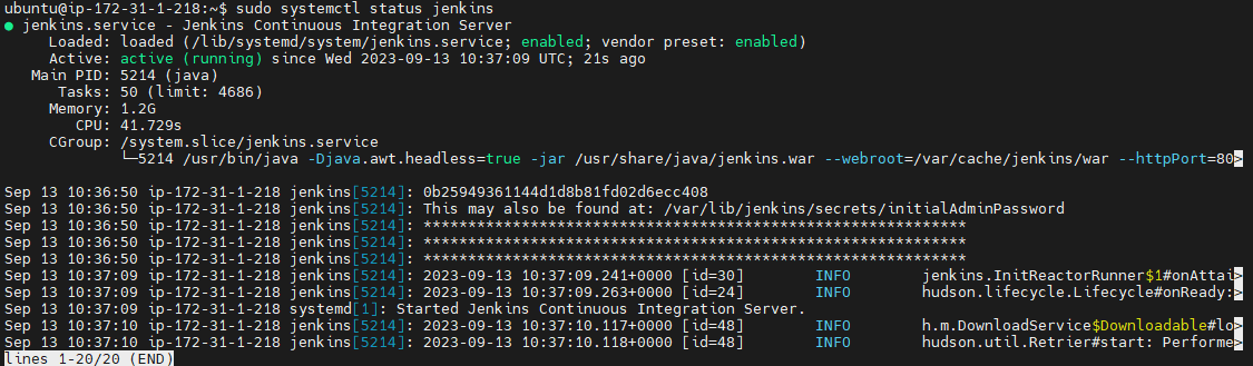 Push Docker Image To Aws Ecr Using Jenkins Pipeline