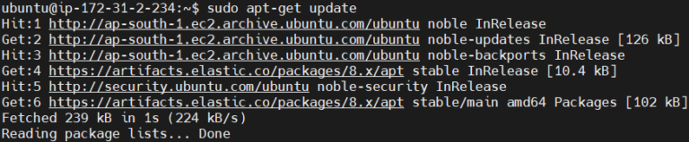 How to Install Elastic Stack on Ubuntu 24.04 LTS
