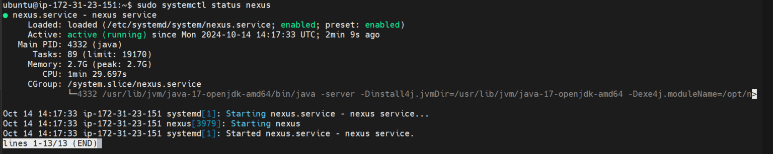 How to Install Nexus Repository Manager on Ubuntu 24.04 LTS