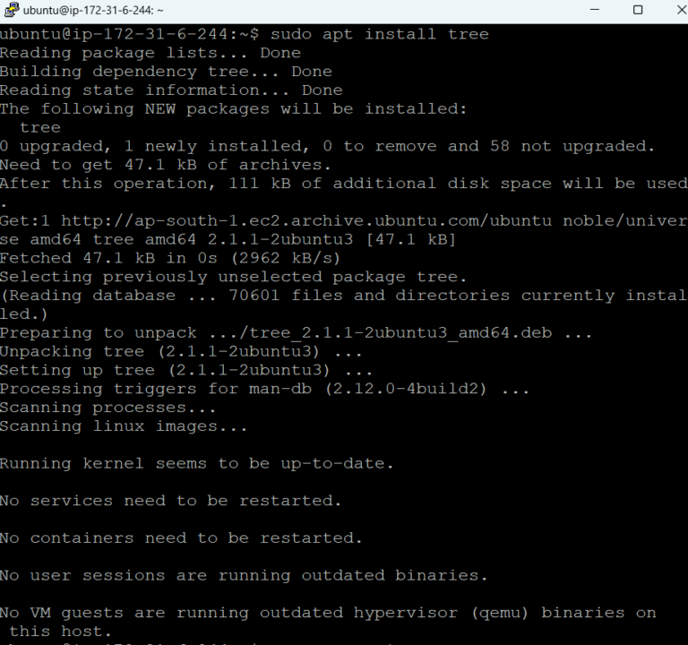 Package Management and Software Installation in Linux
