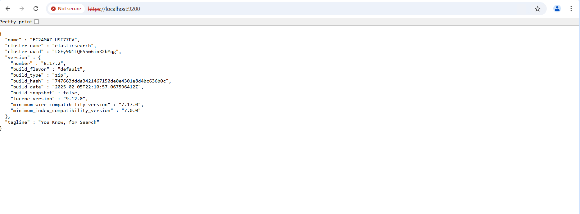 Set Up ELK Stack (Elasticsearch, Logstash and Kibana) On Windows
